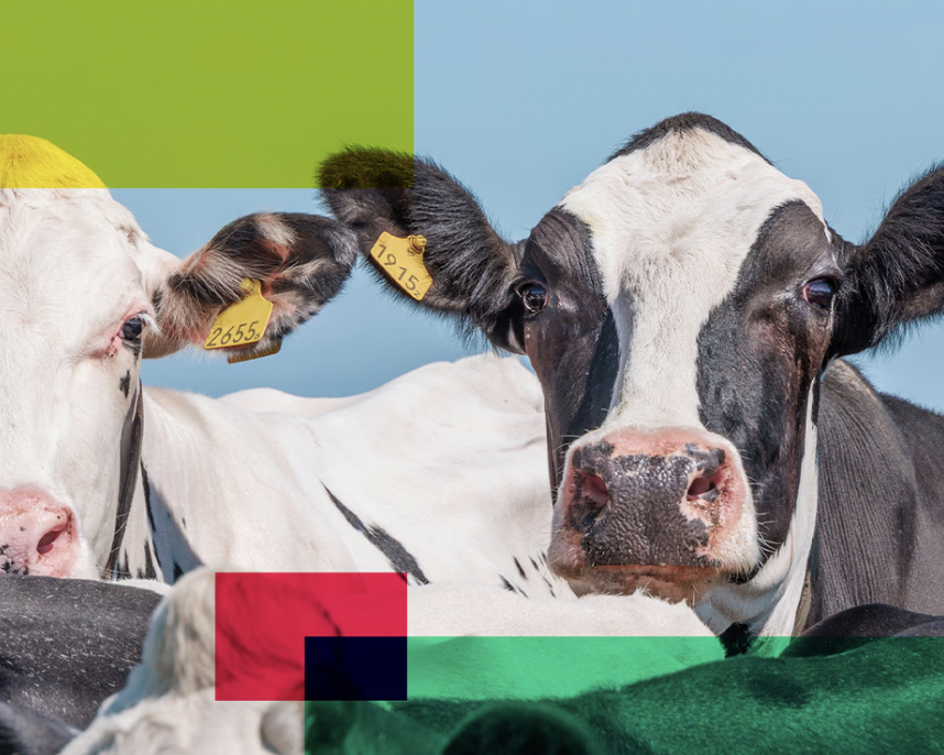 AB Agri - National Milk Records Limited